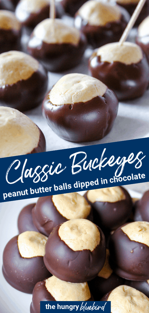 Classic Peanut Butter Buckeyes Recipe - The Hungry Bluebird