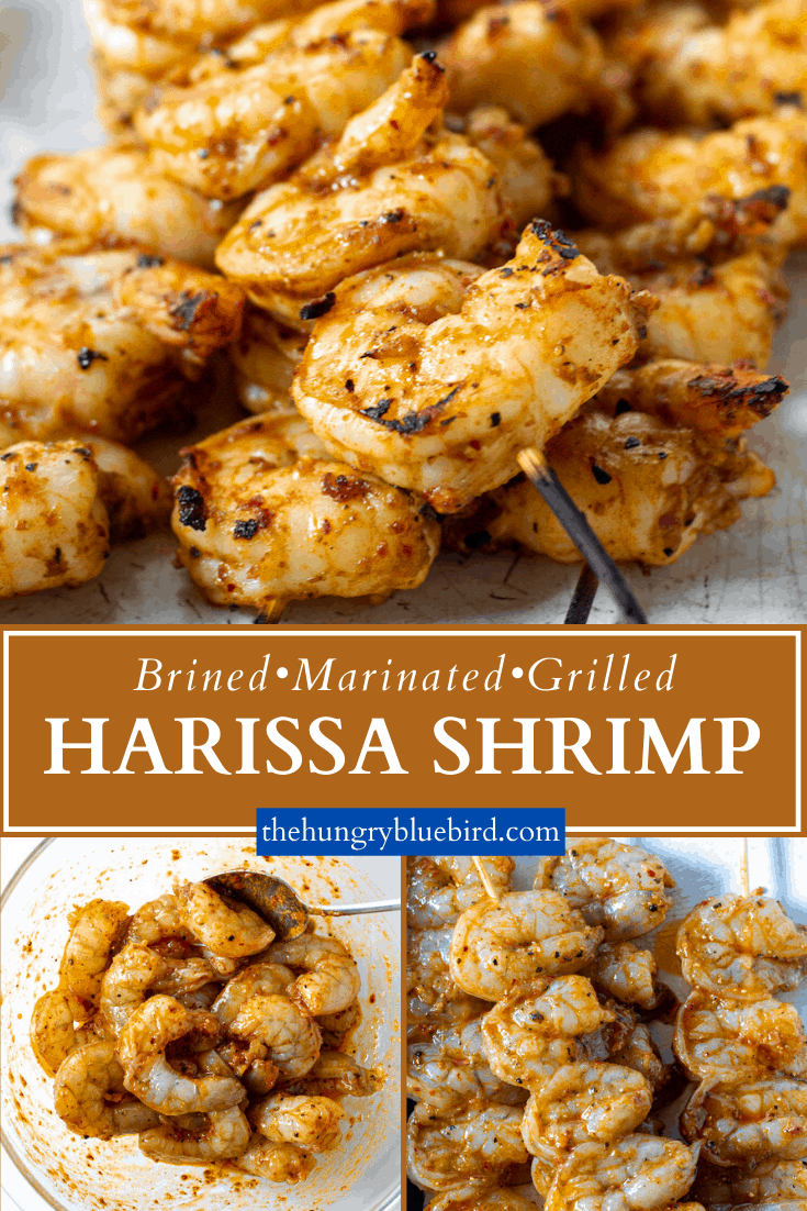 Grilled Harissa Shrimp Skewers - The Hungry Bluebird