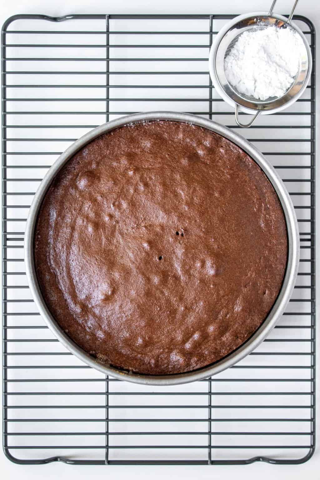 Rich and Fudgy Bittersweet Chocolate Cake - The Hungry Bluebird